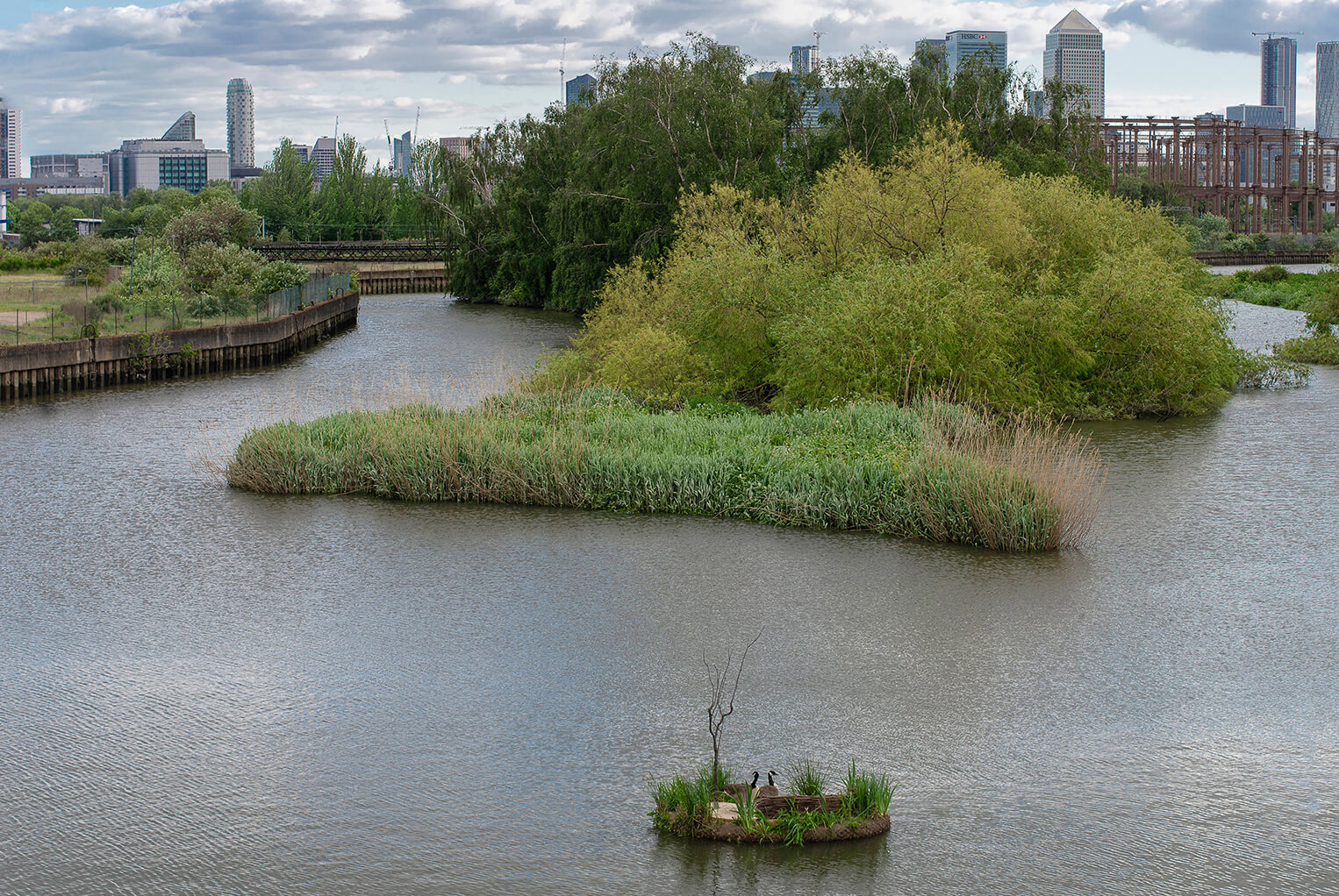 Home - Surge Cooperative