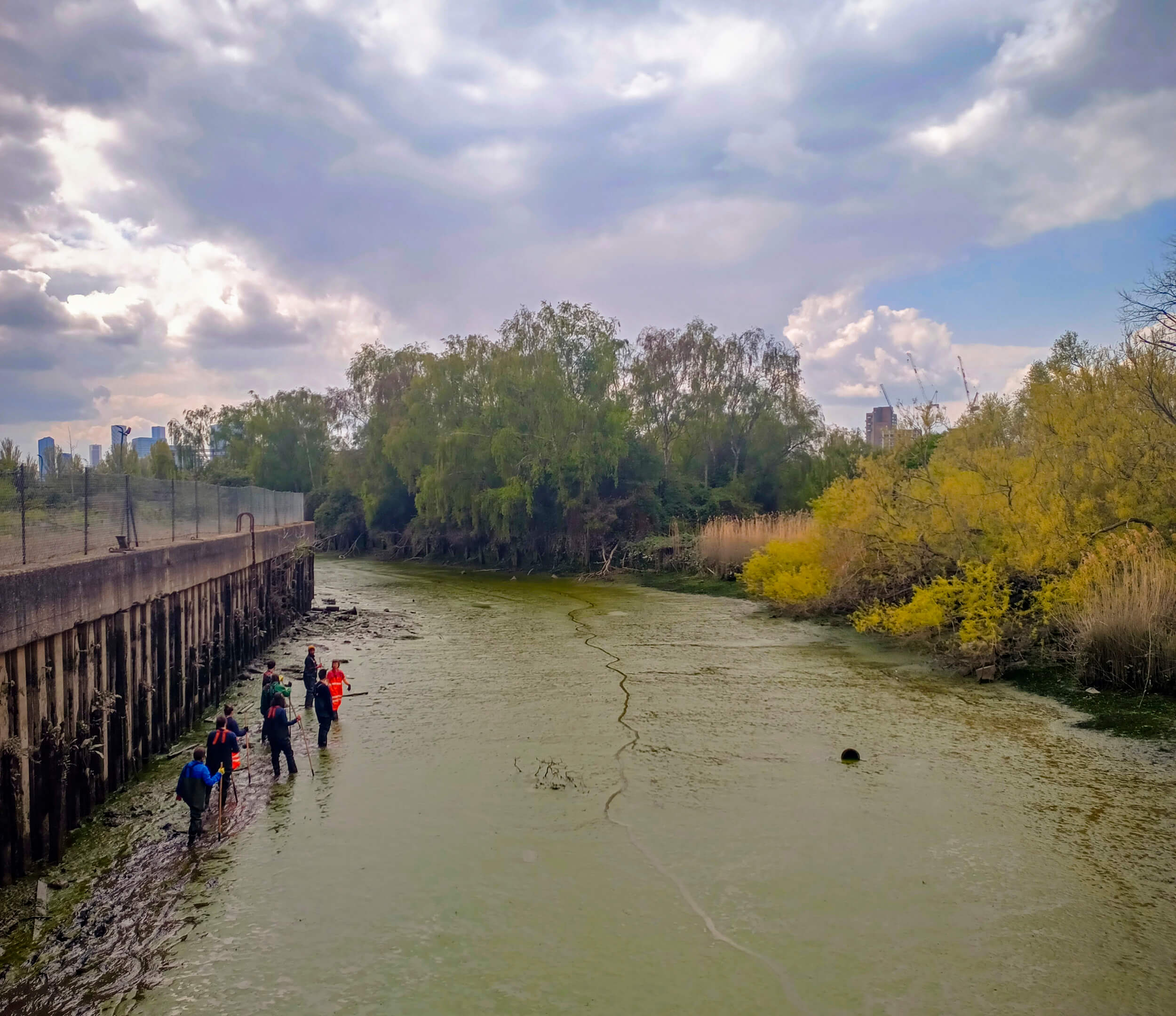 Surge Channelsea Island Live-stream - Surge Cooperative