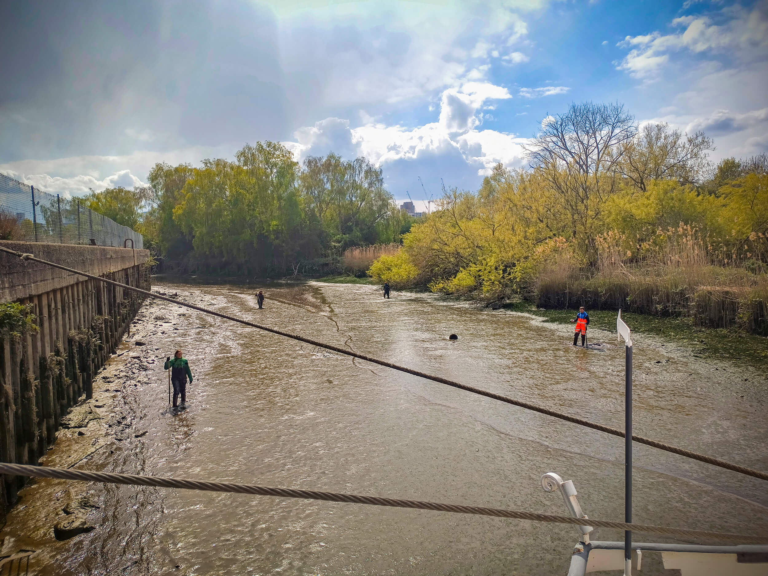 Surge Channelsea Island Live-stream - Surge Cooperative