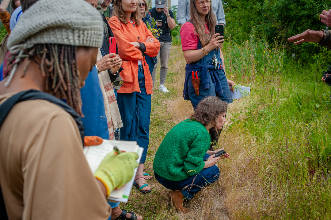 Channelsea Conservation - Surge Cooperative