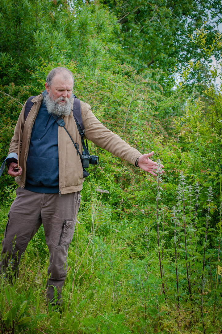 Channelsea Conservation - Surge Cooperative